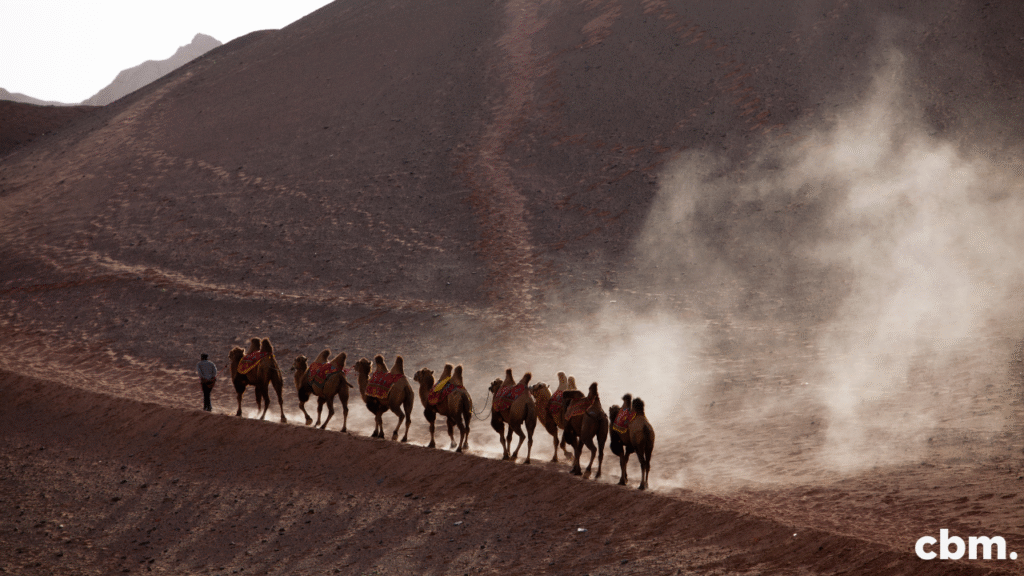Die neue Seidenstraße: Temus Aufstieg in der EU + Umsatz, Marktwert ...